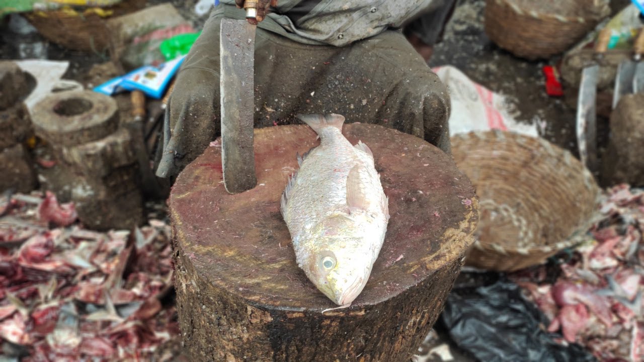 2KG Korukkai Fish Cutting & Skills | Kasimedu Fish Market | Cutting ...