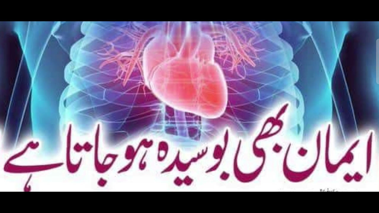 اللہ ایمان سلامت رکھے - YouTube