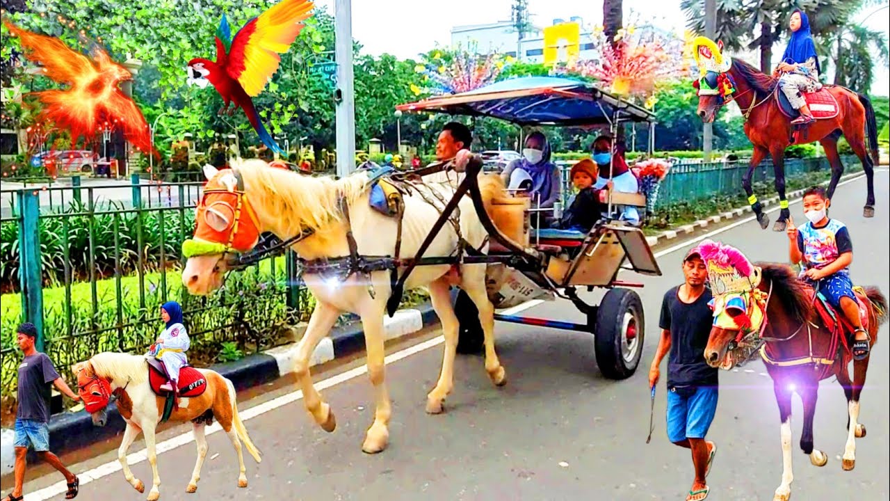Naik Delman Lagu Anak Indonesia TerPopuler - Kuda - Naik Kuda Delman ...
