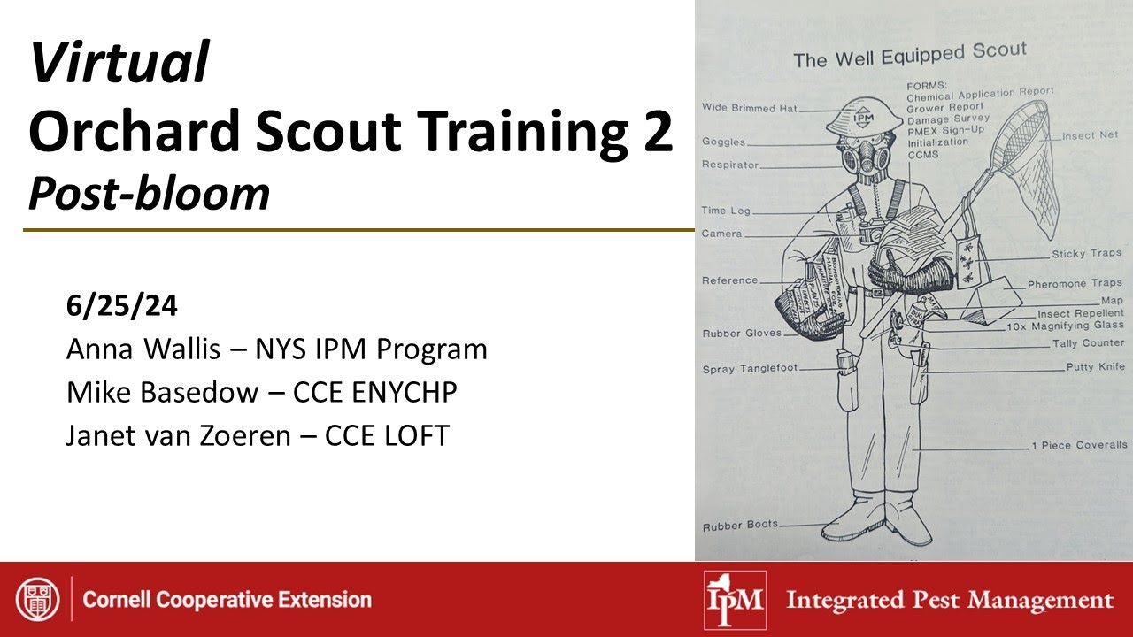 Virtual IPM Scouting Meeting 2 - YouTube