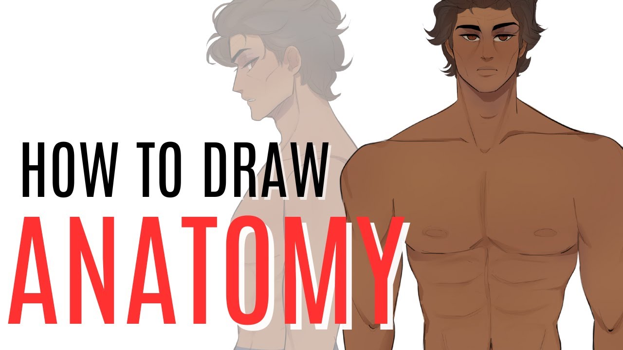 Learn to Draw Anatomy FAST - YouTube