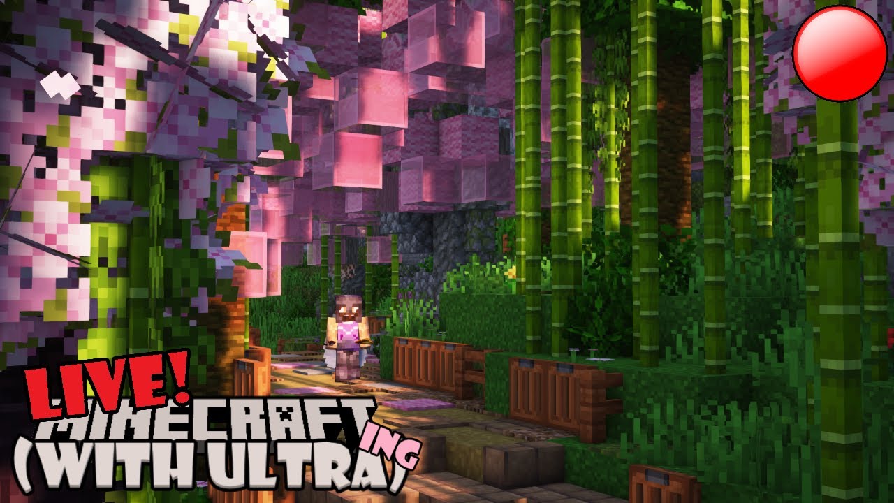 Planning a Pretty Pink Pathway! - YouTube