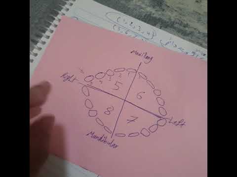 International Numbering System (FDI) Deciduous teeth/ نظام التسمية ...