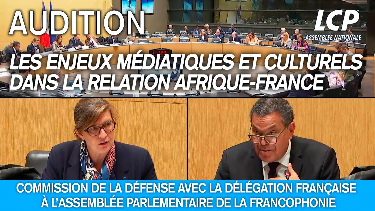 Audition : les enjeux médiatiques et culturels dans la relation Afrique ...