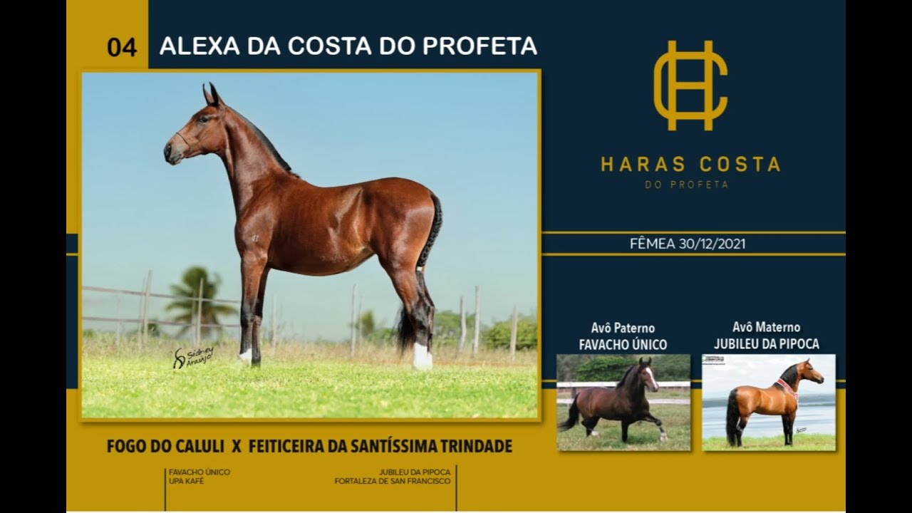 04 ALEXA DA COSTA DO PROFETA - YouTube