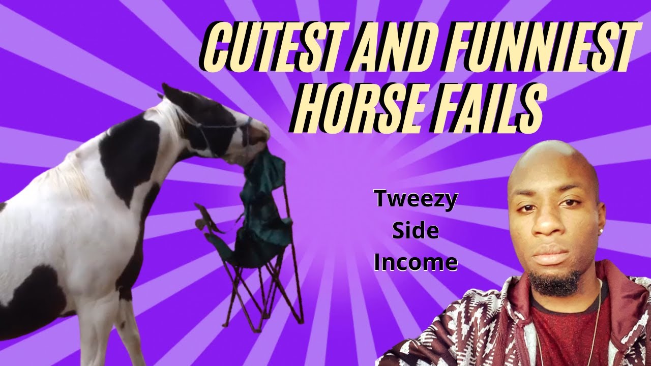 CUTEST AND FUNNIEST HORSE FAILS - 10 - YouTube