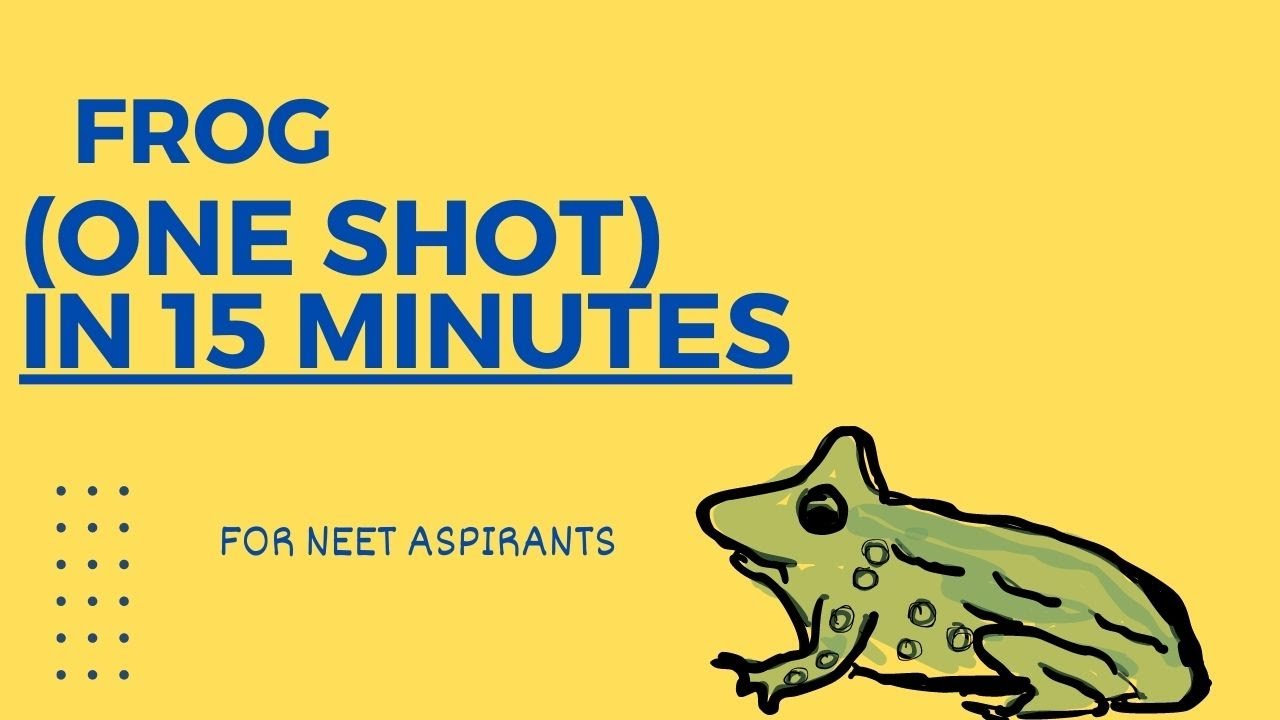 FROG(ONE SHOT) IN 15 MINUTES - YouTube