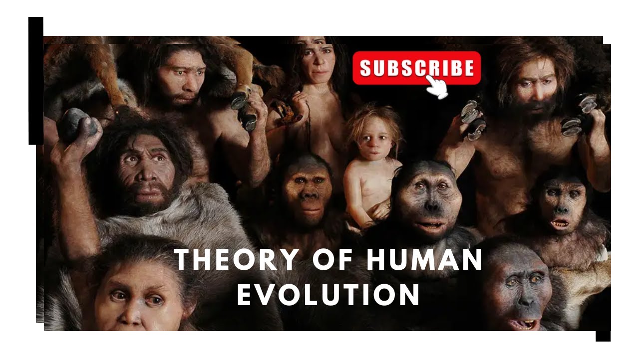 10 Evolution I-III| Theory of Human Evolution - YouTube