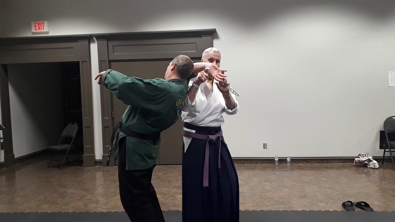 Soke Mike Lamonica 1000 Islands Jiu-jitsu Symposium 1/3 - YouTube