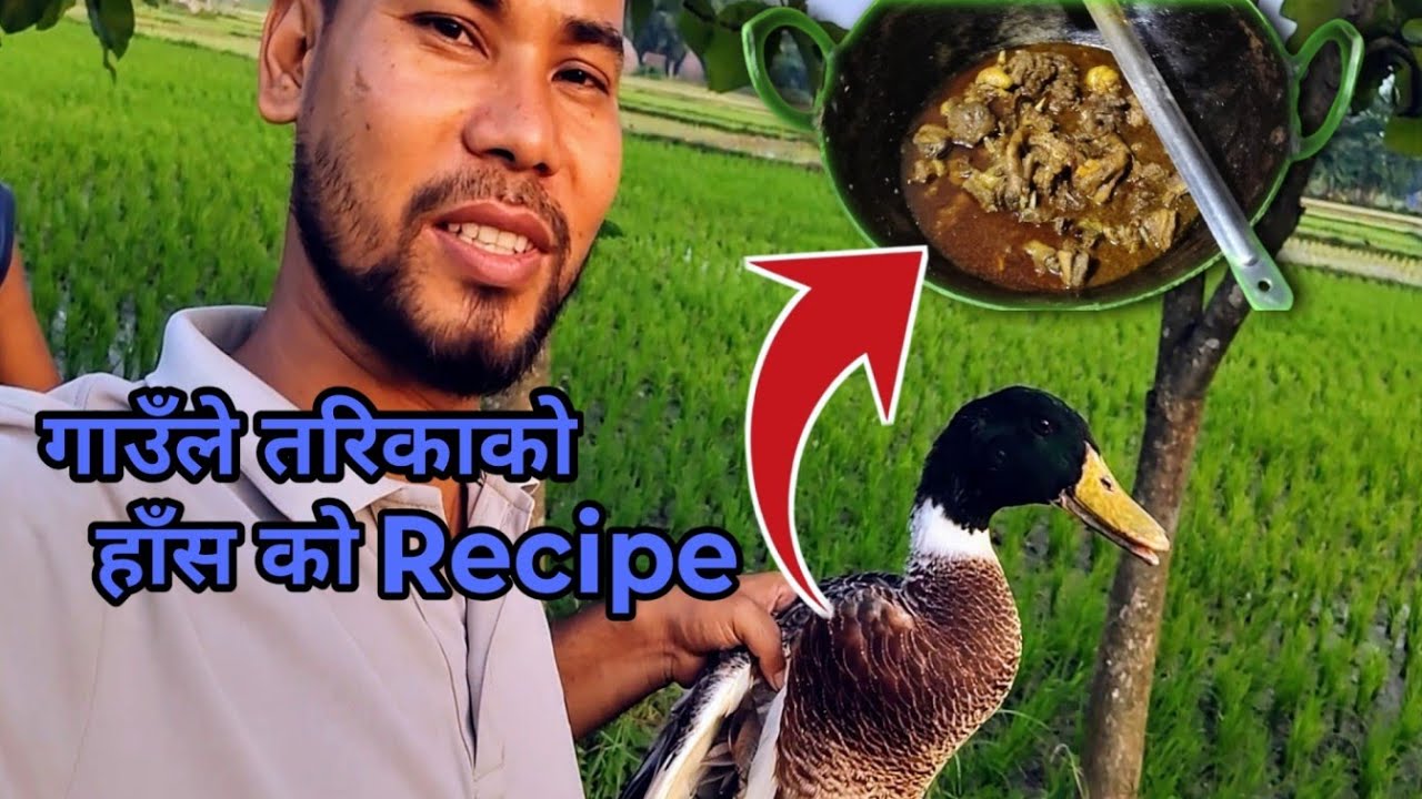 Gaule Tarika le पकाको हाँस को मासु || Duck Curry Recipe Nepali Village ...