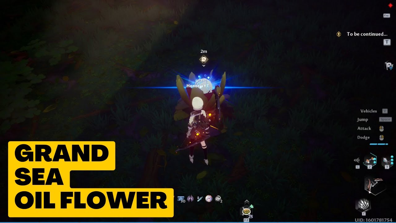 All Oil Flower Location | Grand Sea [TOF] - YouTube