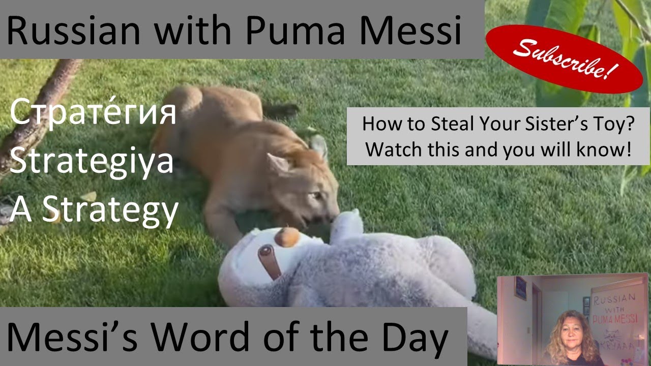 Russian with Puma Messi. Messi's Word of the Day. A Strategy (How to ...