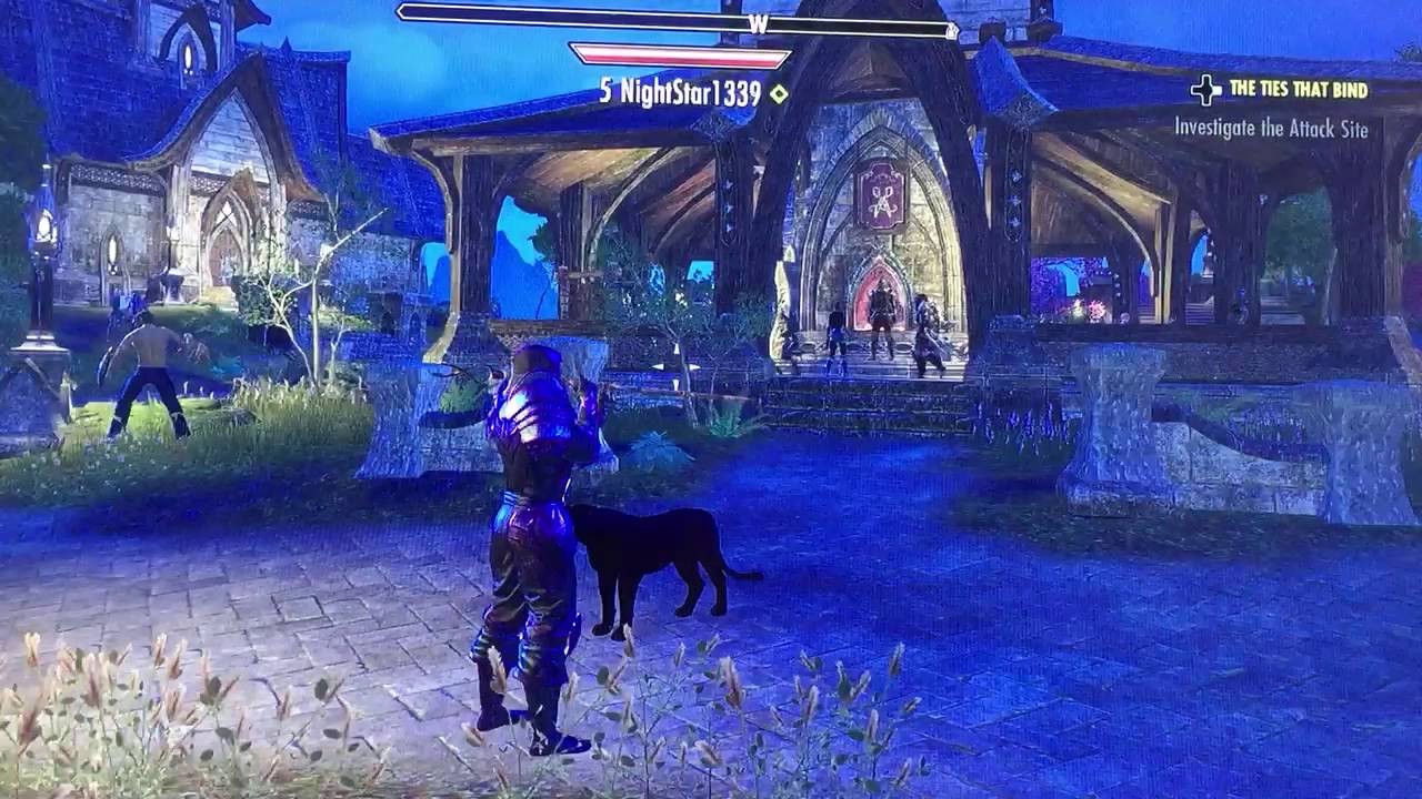 Elder Scrolls Online ESO Emotes Glitch/Tutorial - YouTube