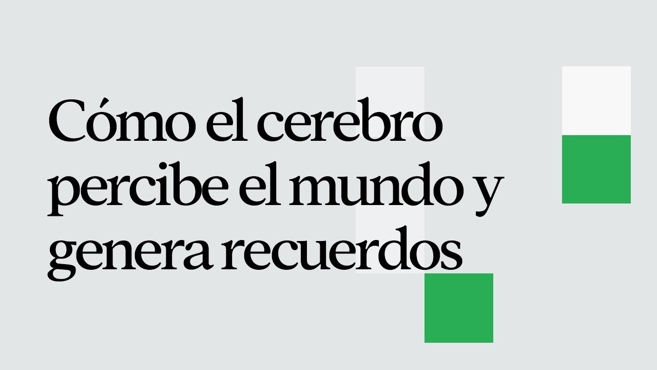 Cómo el cerebro percibe el mundo y genera recuerdos | Debate ...
