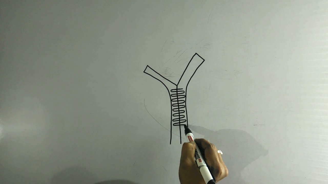 How to draw a Zip from Y| easy drawing for beginners and kids - YouTube