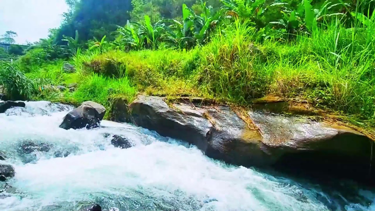 "Whispering River Harmony: Serene Flowing Waters for Relaxation, Sleep ...