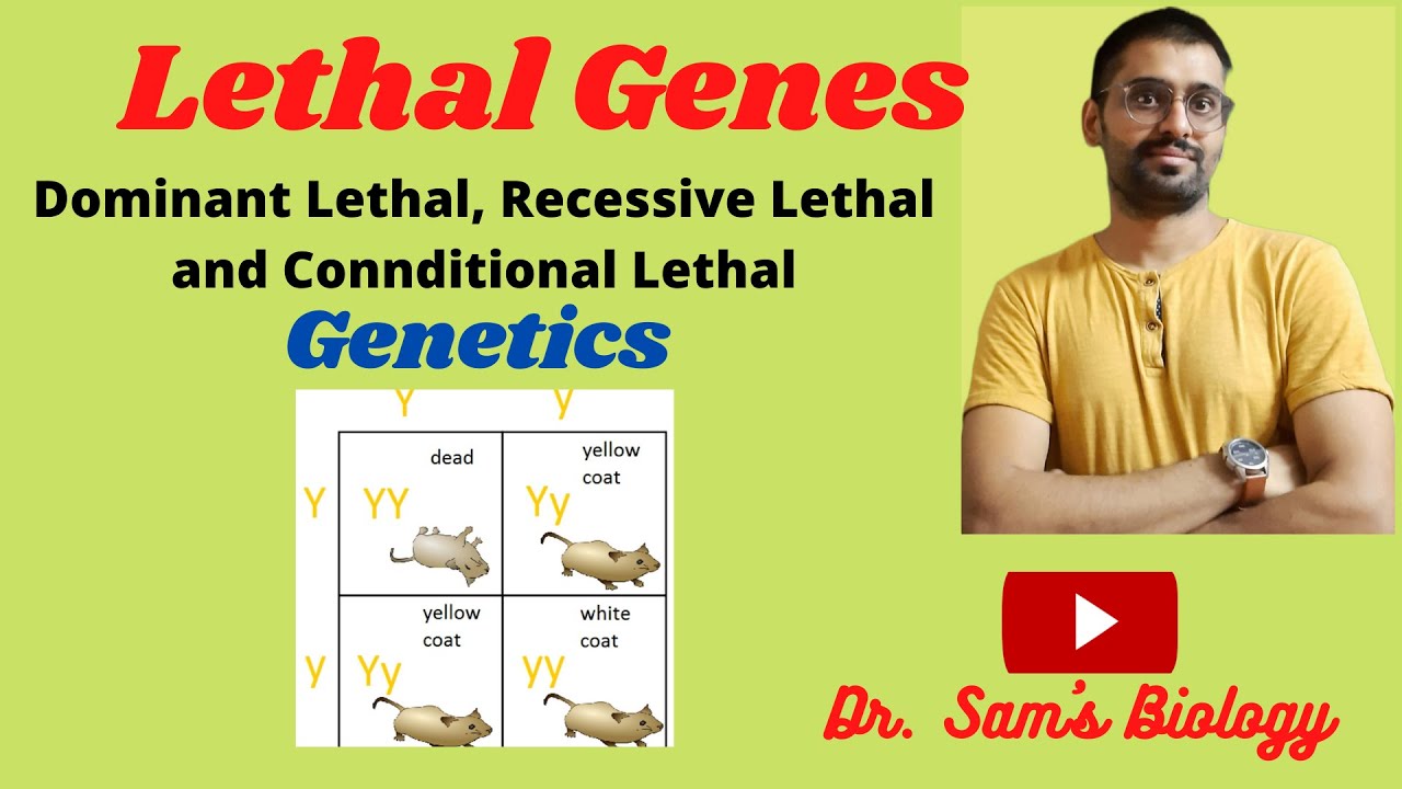 Lethal Genes (Lethal alleles) - YouTube
