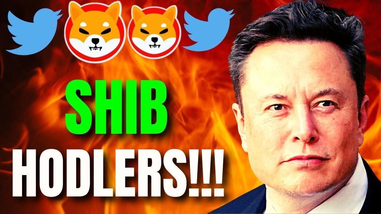 SHIBA INU CEO’S LAST WARNING TO ALL SHIB HODLERS!!! SHIBA INU NEWS #shibainu #shibainucoin # ...