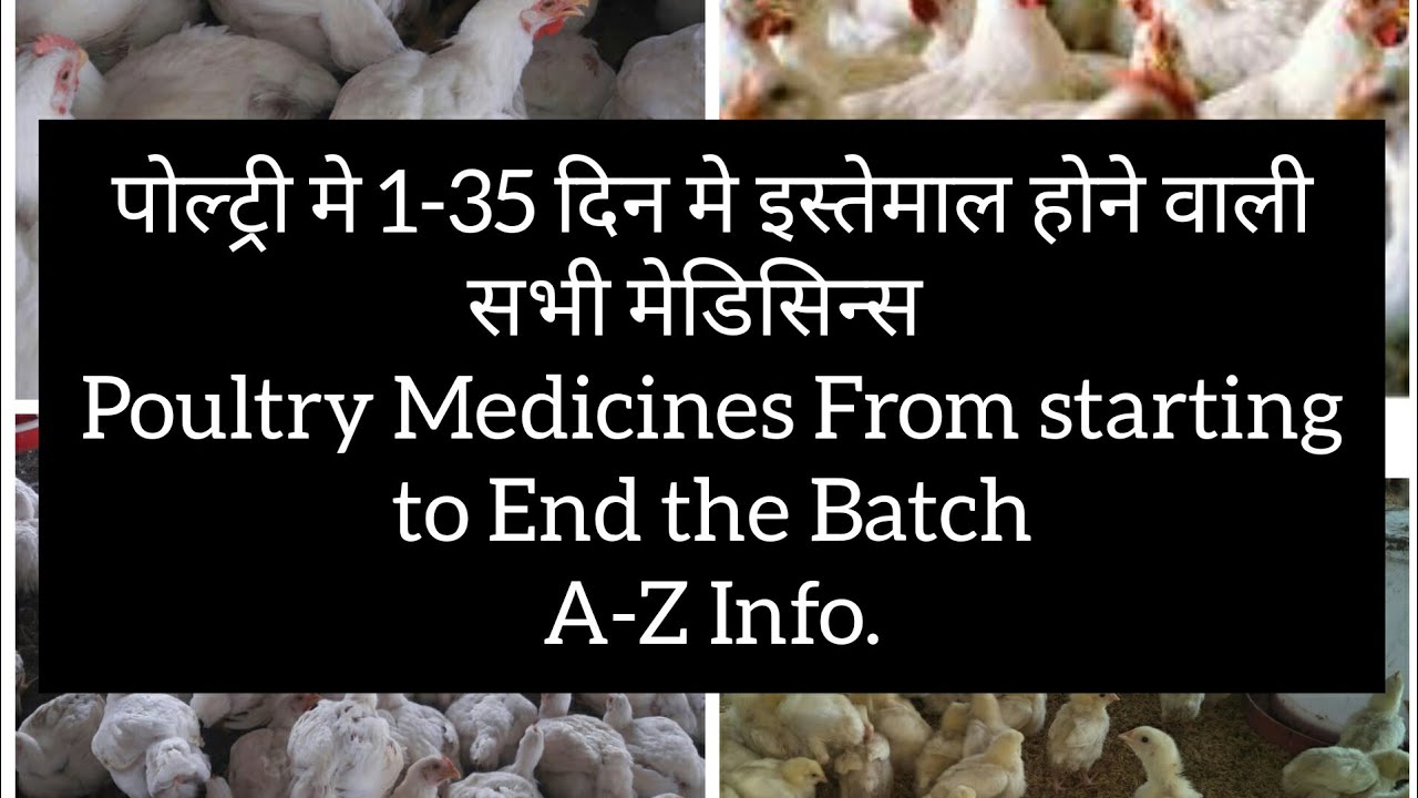 All medicines used for a broiler poultry batch, पोल्ट्री की सभी ...