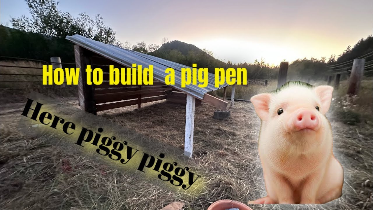 Perfect Piggy Palace. PROhO - How to build a pig pen. With little to no ...