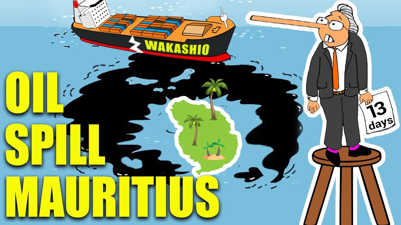 Ecological Disaster - Mauritius | Gross Incompetence | Catastrophe à ...