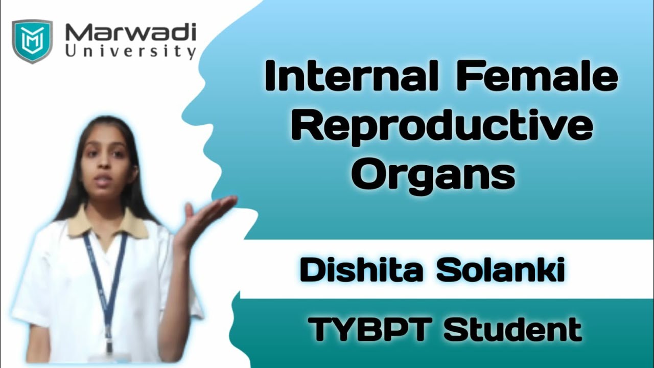 Internal female reproductive organs | Female reproductive system ...