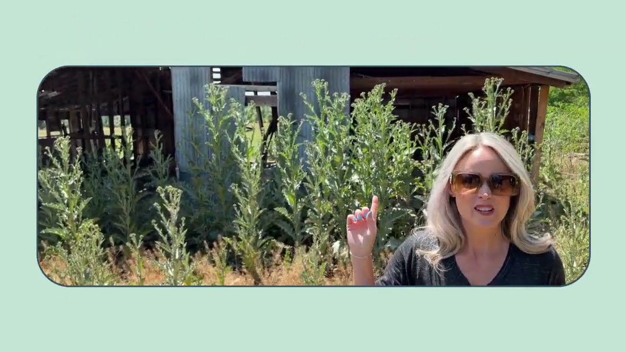 Rustic Daisy Barn * Episode 2 - YouTube