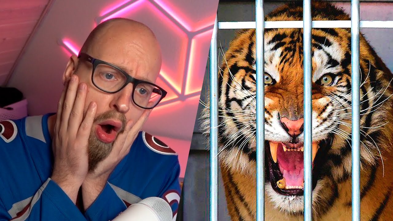 Dyr der bliver sluppet fri i naturen - YouTube