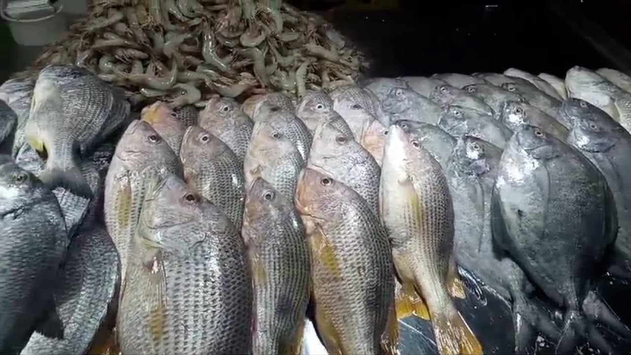 Fried Fish, Shrimp Karahi at Agha Fry Fish | Karachi Food Street - YouTube