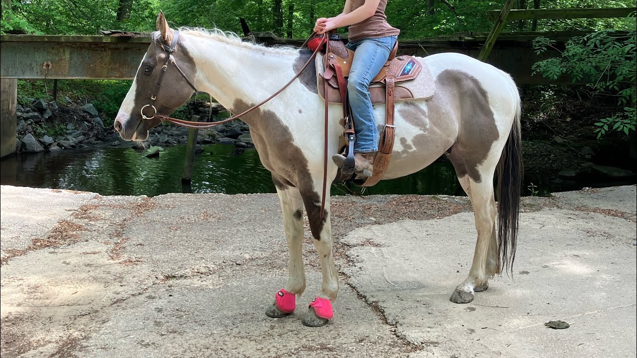 -SOLD. Legend- APHA paint pony - YouTube