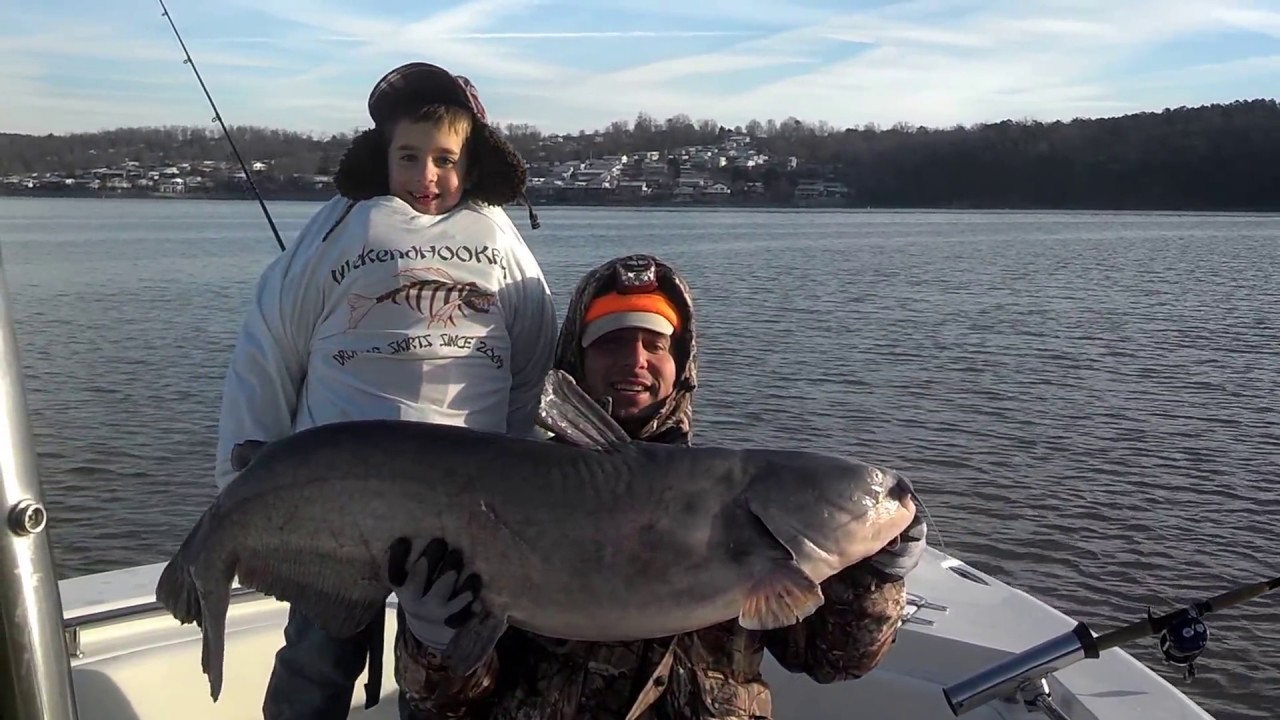 Badin Lake Big Blue Cat - YouTube