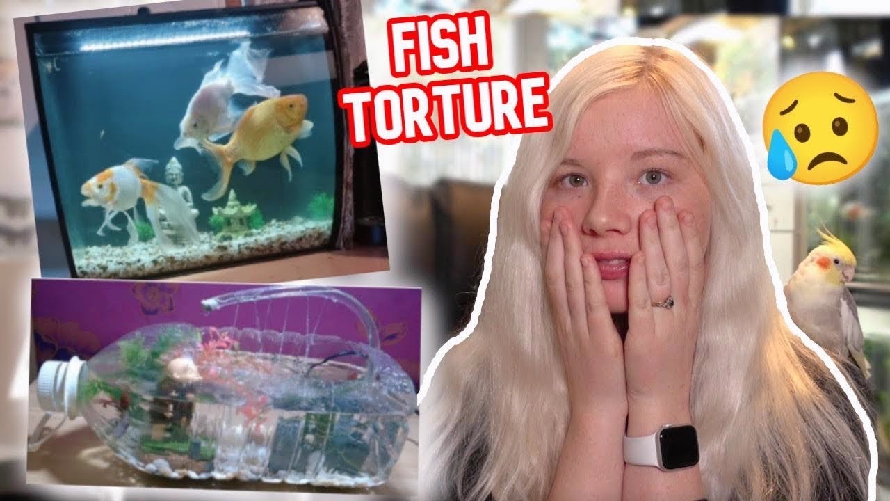 THEY TURNED THIS INTO A FISH TANK? Reviewing Terrible Aquariums - YouTube