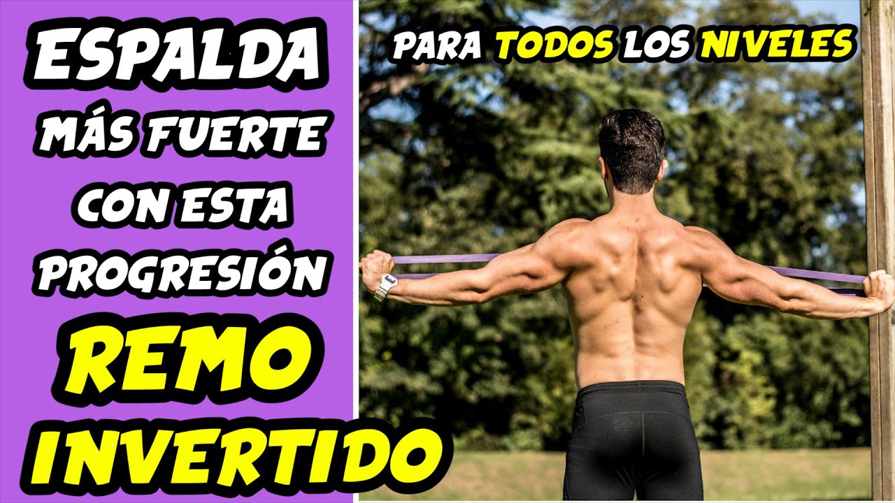 REMO INVERTIDO | PROGRESIÓN desde 0 | Ejercicio de ESPALDA FUERTE 👍 - YouTube