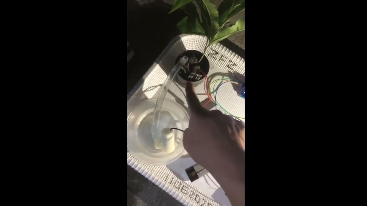 MINI PROJEK-smart plant watering system with esp8266 - YouTube