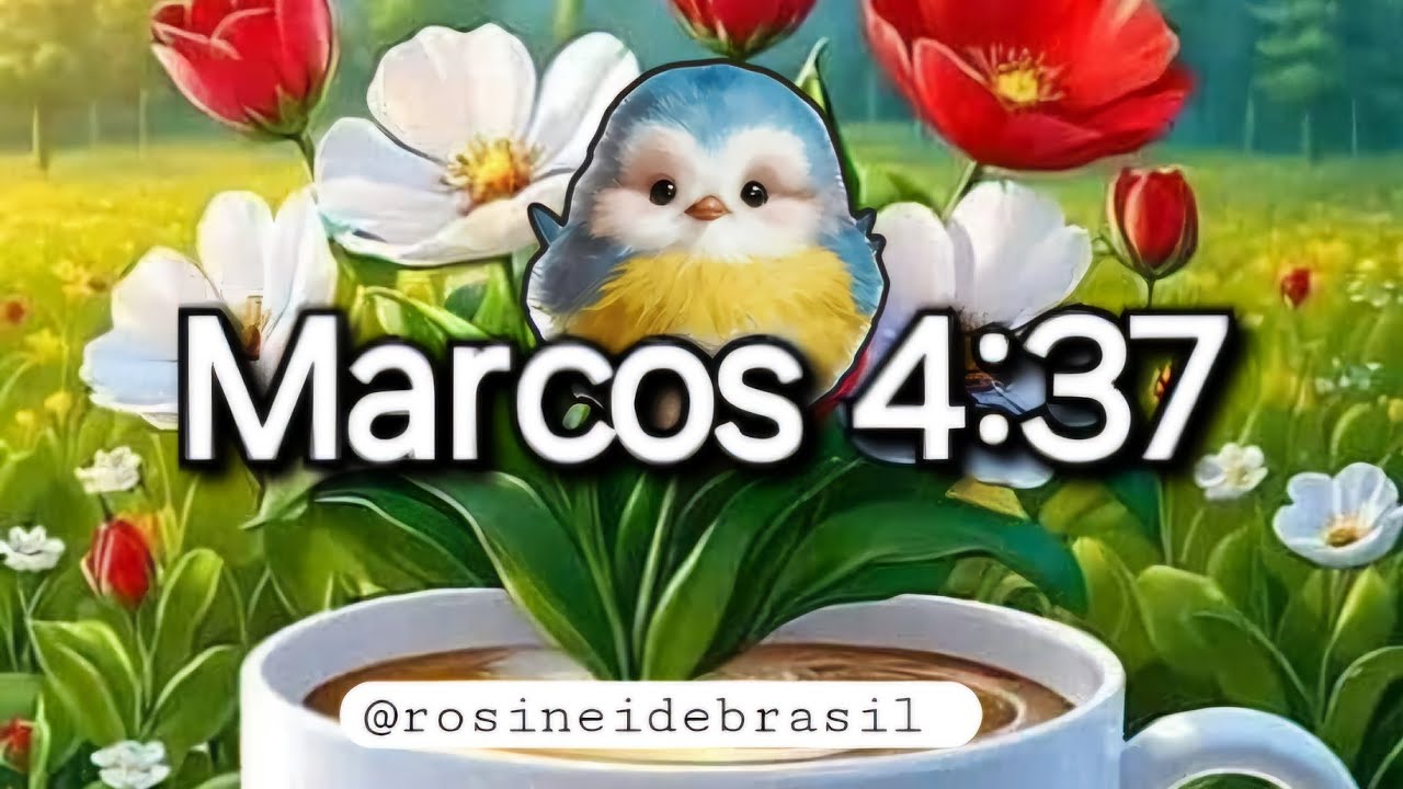 Marcos 4:37_(@rosineidebrasil ) - YouTube