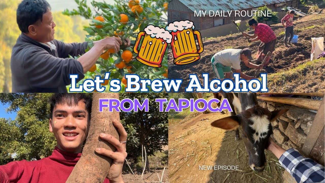 Brewing Alcohol from Tapioca or Cassava | Village Life in Bhutan ...