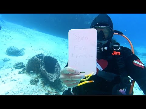 How to Pee Underwater in a Wetsuit and Flush! - YouTube