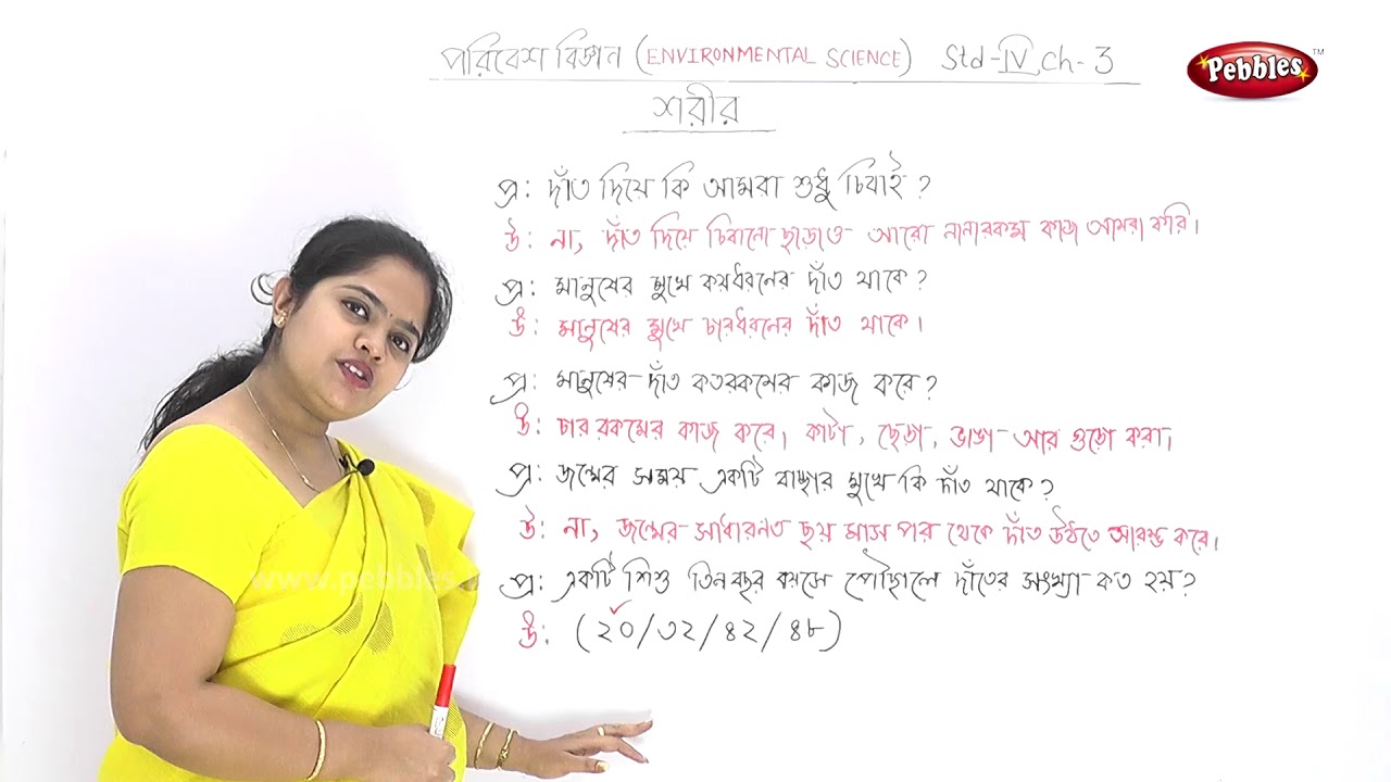 4th Std Environmental Science In Bengali Human Body CH 3 Part 2 EVS Bengali Video YouTube 4th-std-environmental-science-in-bengali-human-body-ch-3-part-2-evs-bengali-video-youtube