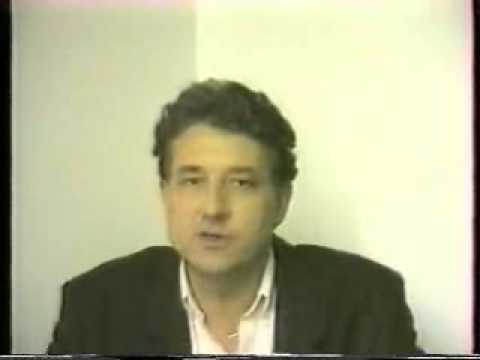 Crash de l'Airbus à Habsheim : présentation des JT de la Cinq du 18 ...