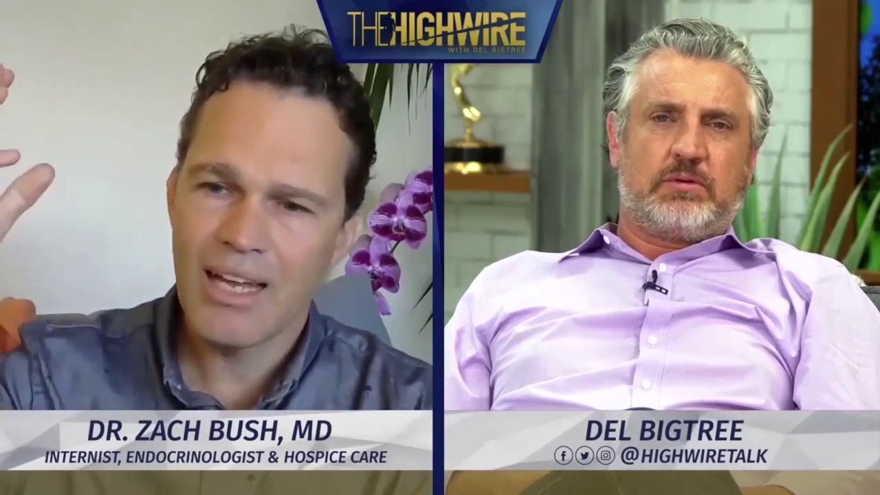 Dr. Bush on COVID-19 as a Hypoxic Injury - YouTube