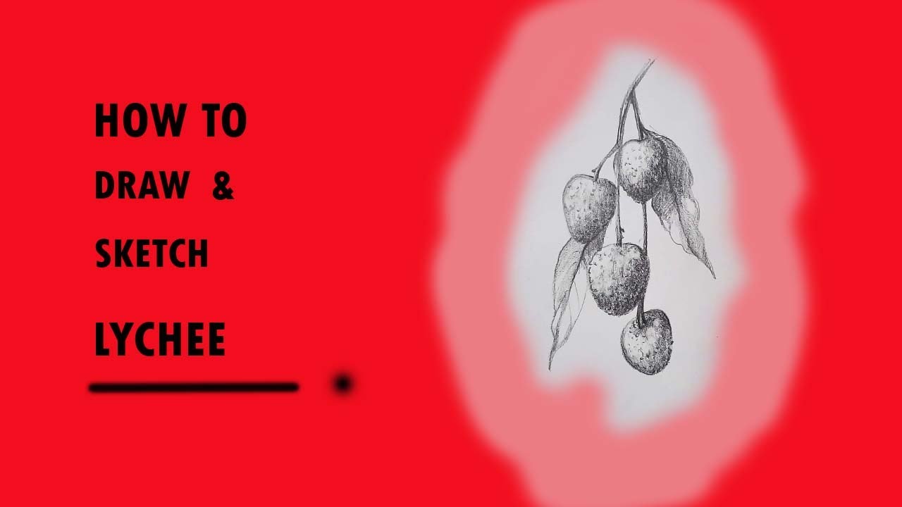 how to draw &sketch a Lychee.কিভাবে লিচু আঁকা যায়।#lisa,#drawing, # ...