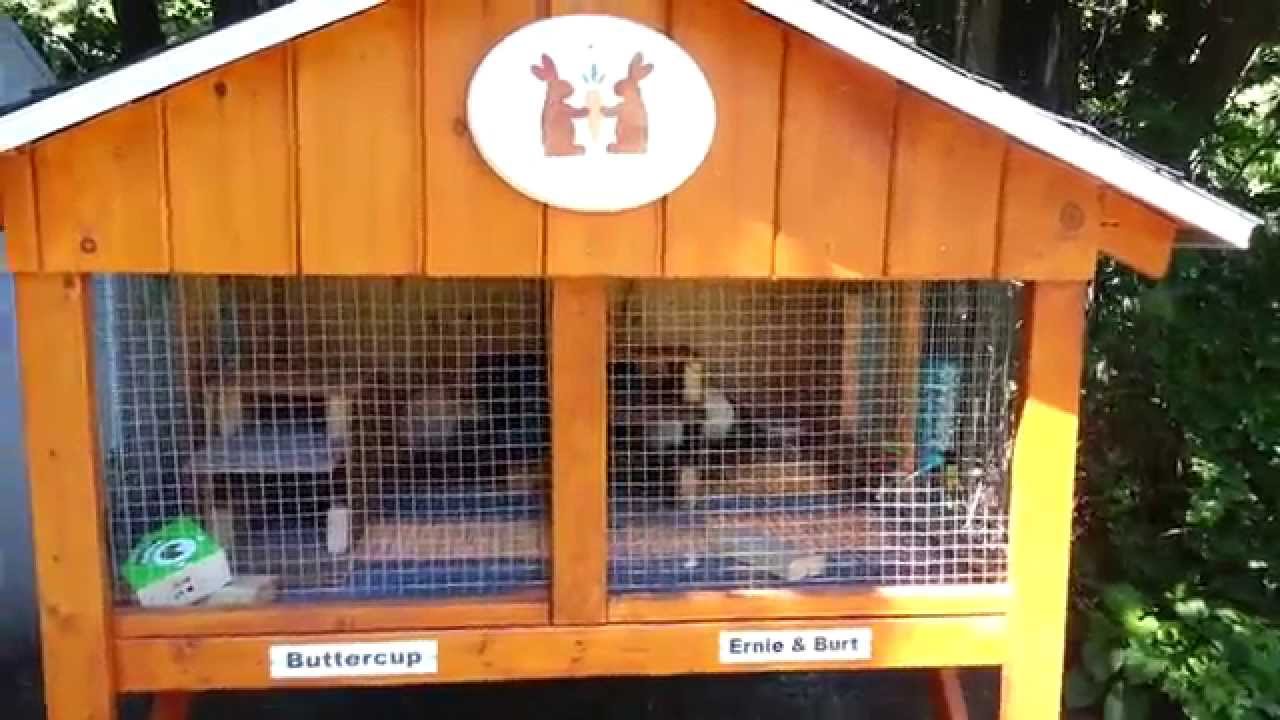 Canadian Rabbit Hutch with New England charm - YouTube