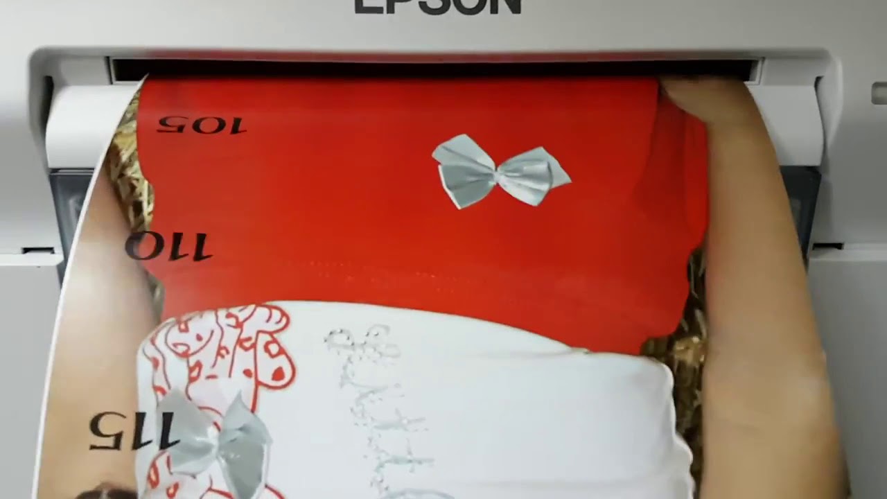Epson SureLab D700 90 Sec 21x100 Cm YouTube epson-surelab-d700-90-sec-21x100-cm-youtube