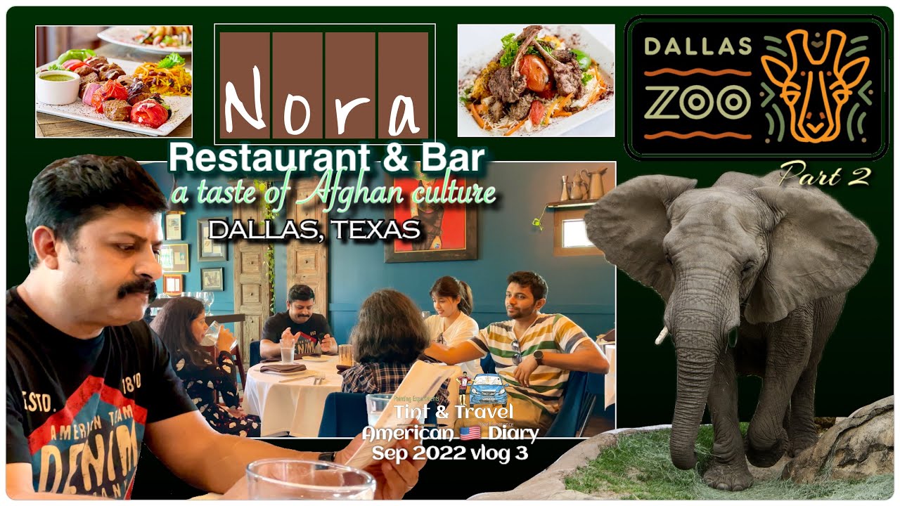 Nora Restaurant & Bar | Dallas, Texas | a taste of Afghan culture ...