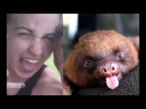 amber the sloth