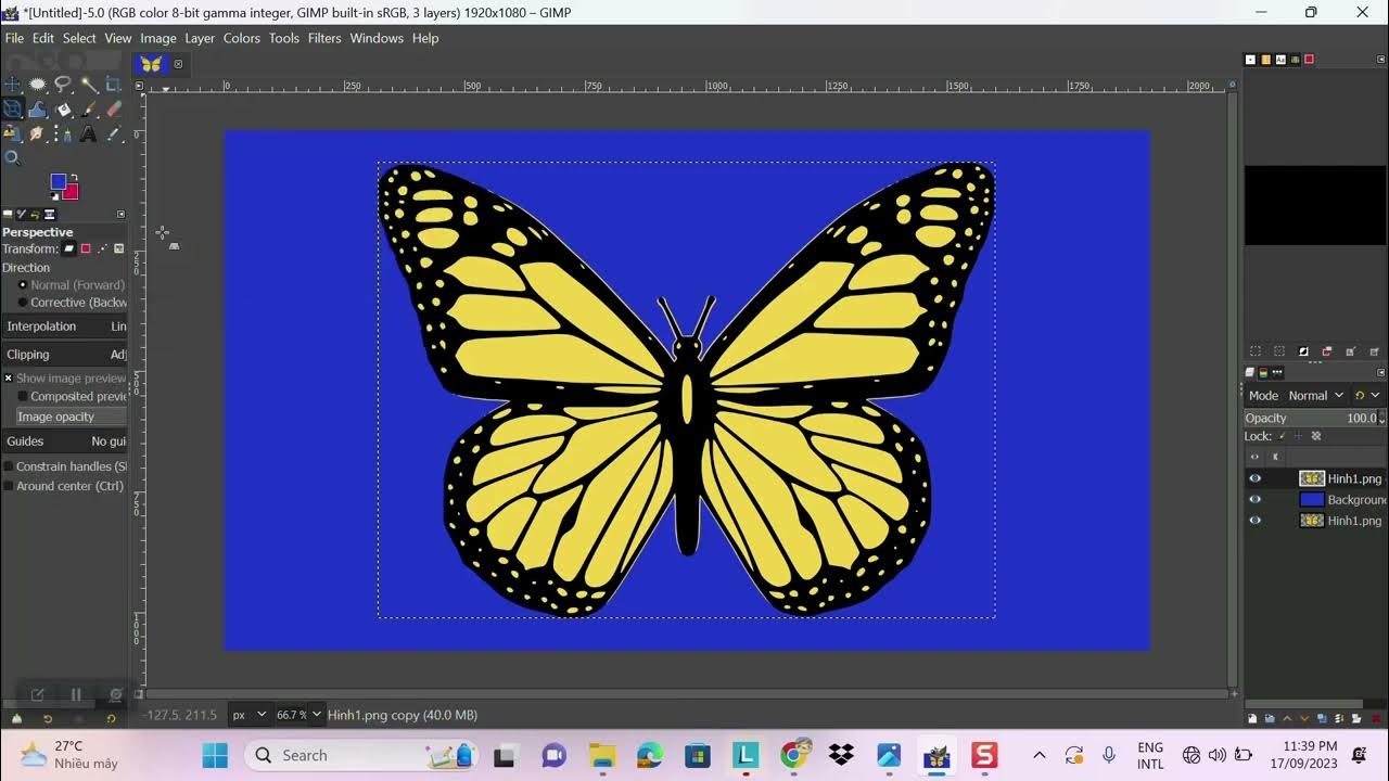 Cách sử dụng GIMP: Hướng dẫn chi tiết cho người mới bắt đầu