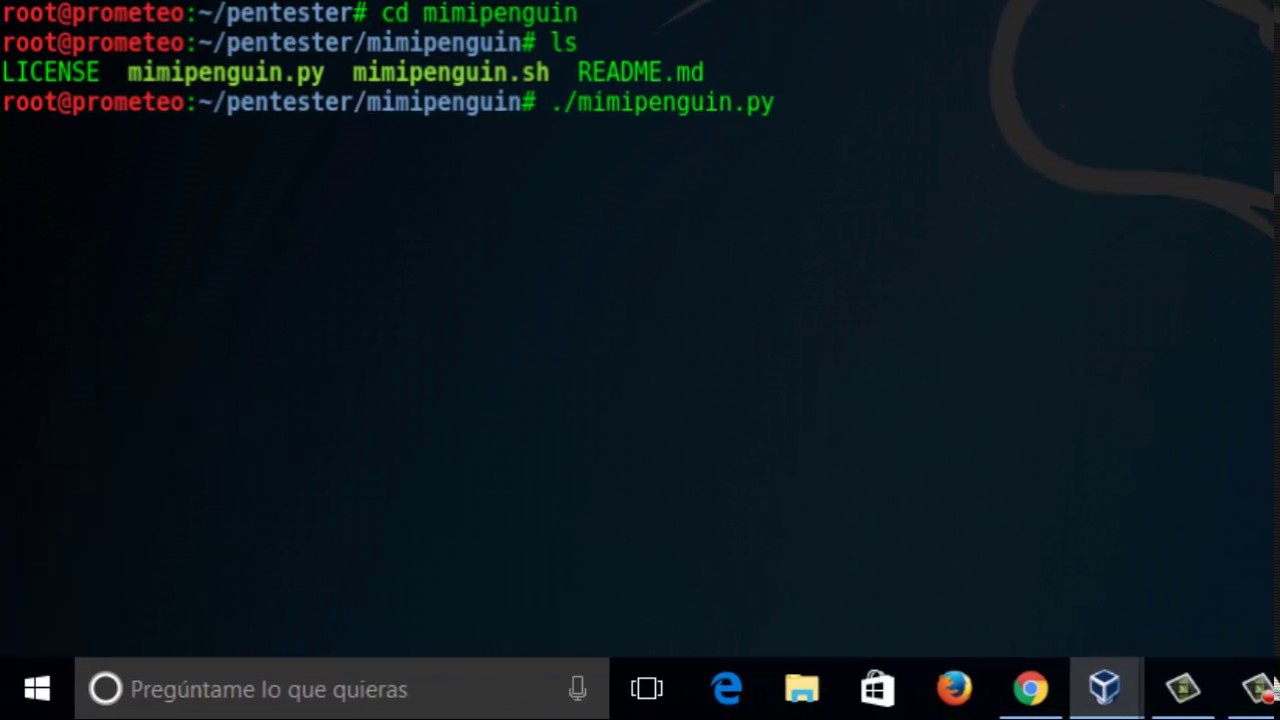 MIMIPENGUIN www lazarus com ve - YouTube