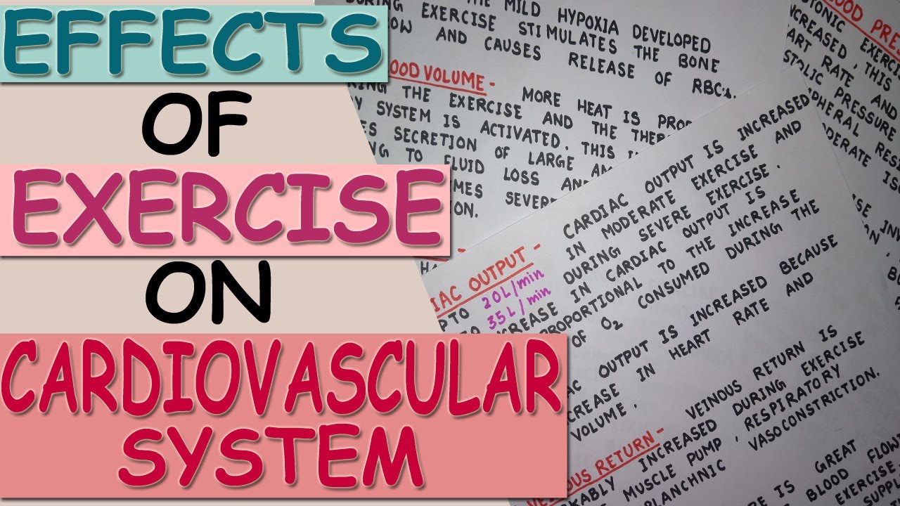Effects Of Exercise On Cardiovascular System Effects Of Exercise effects-of-exercise-on-cardiovascular-system-effects-of-exercise