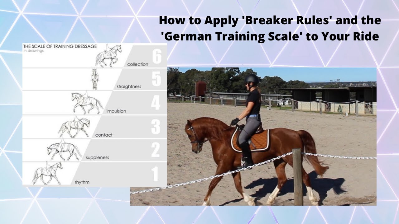 How to Apply 'Breaker Rules' and the 'German Training Scale' to Your ...