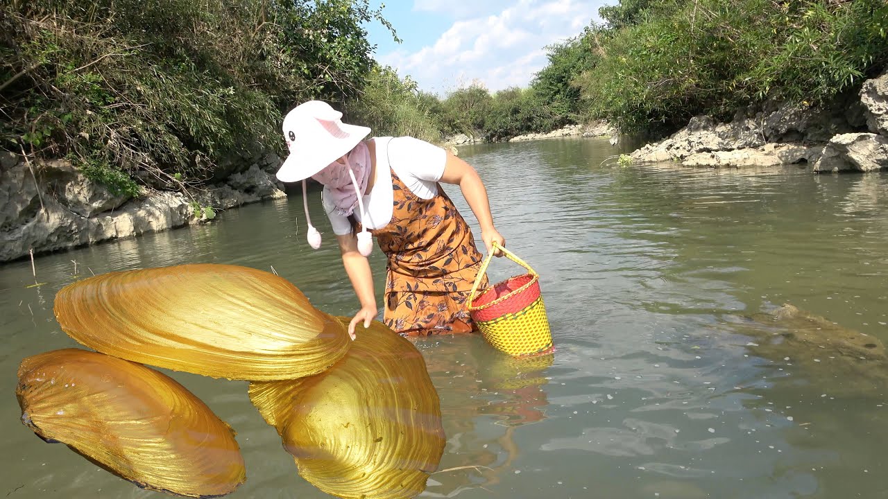 🔥 Wild Riches Await: A Teenager's Adventure Uncovers a Treasure Trove ...